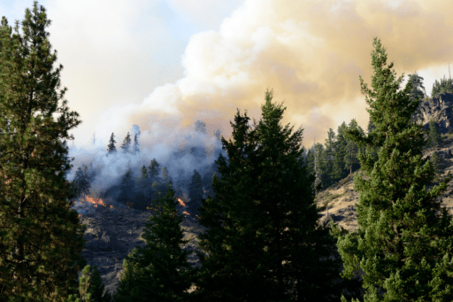 How Do Wildfires Get Their Name? - BME Fire Trucks