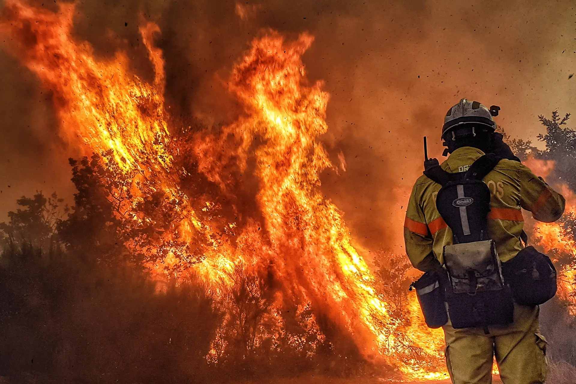 How Do Wildfires Get Their Name? - BME Fire Trucks