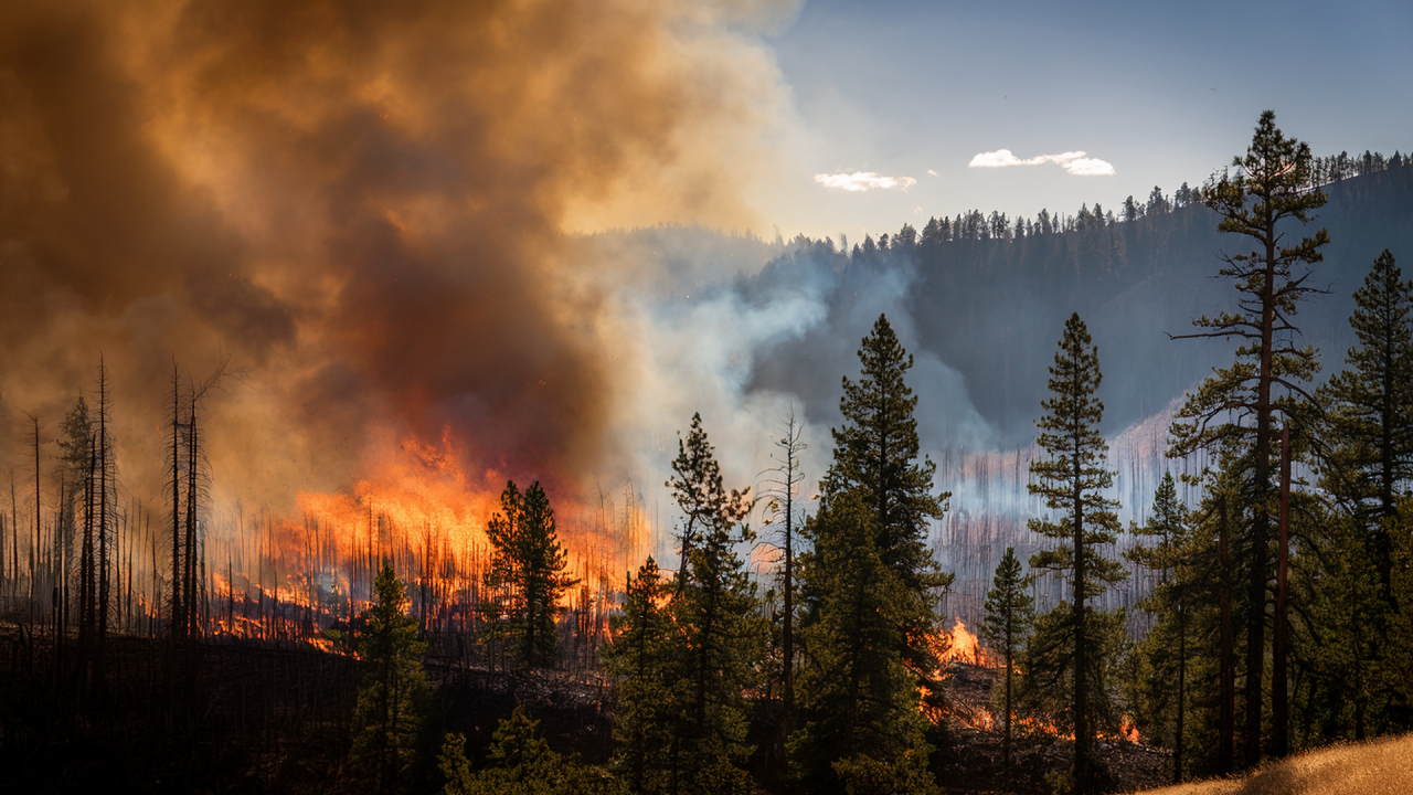 2025 Fire Season Outlook and U.S. Wildfire Trends - BME Fire Trucks